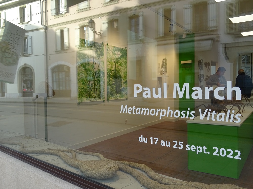 Paul March, galerie Art Now Projects - Talpa Mag